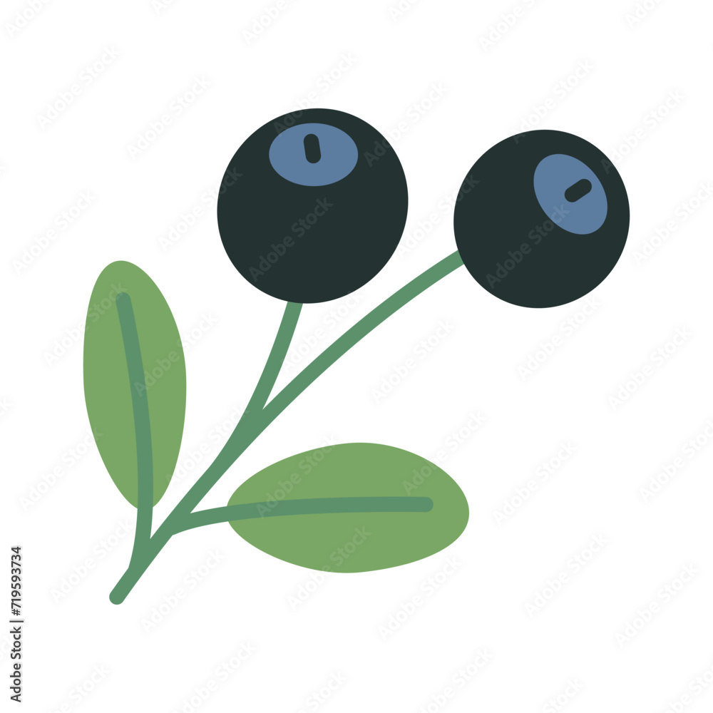 Blueberry, cartoon style. Trendy modern vector illustration isolated on ...