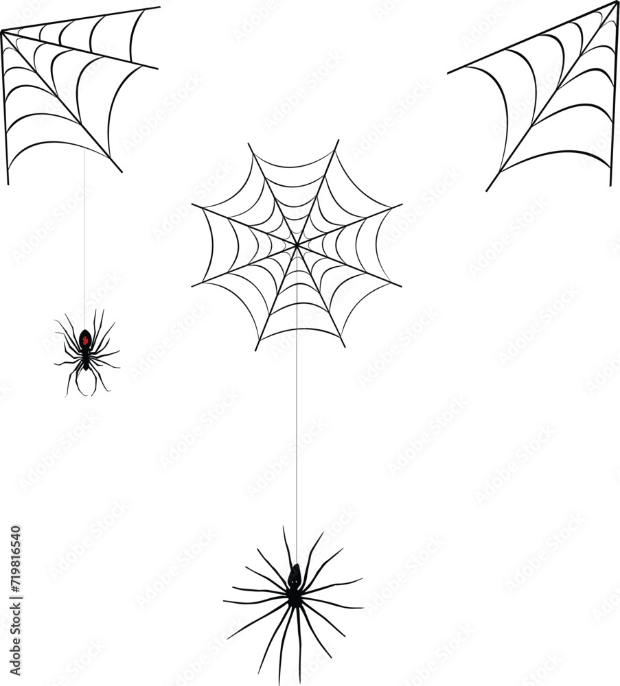 Black Widow and Web – Spooky Spider Art Stock Vector | Adobe Stock