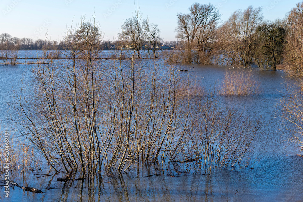 Panoramic view over the flooded floodplains along the Maas River in the ...