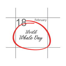 Whale Underwater Calendar Art Free Stock Photo - Public Domain Pictures