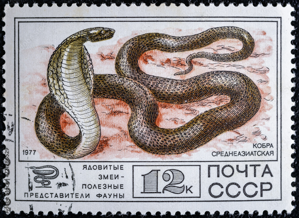 Soviet Union, circa 1977 : USSR post stamp from the Animals series.With ...