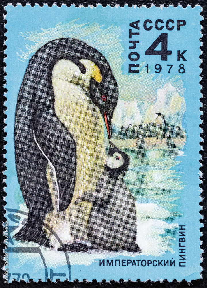 Soviet Union, circa 1978 : USSR post stamp from the Arctic Animals ...