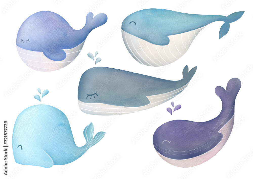 watercolor cute whale set. Sea gentle collection with underwater ...