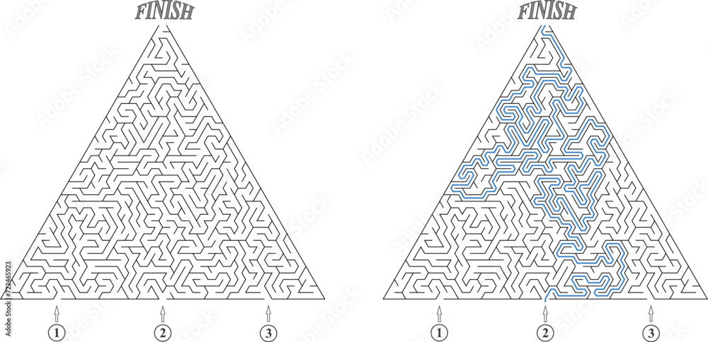 Labyrinth with three entrances. Find the right way and reach the exit ...