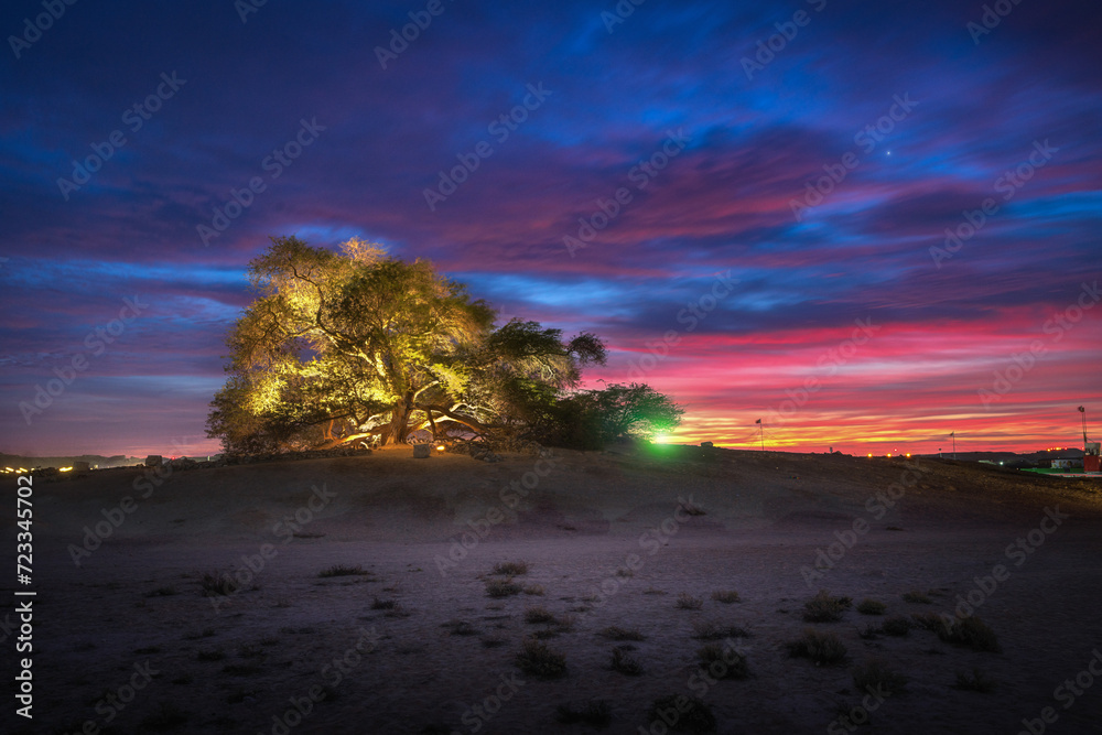 Stock-Foto „Beautiful sunrise view from Tree of Life, Bahrain. The Tree ...