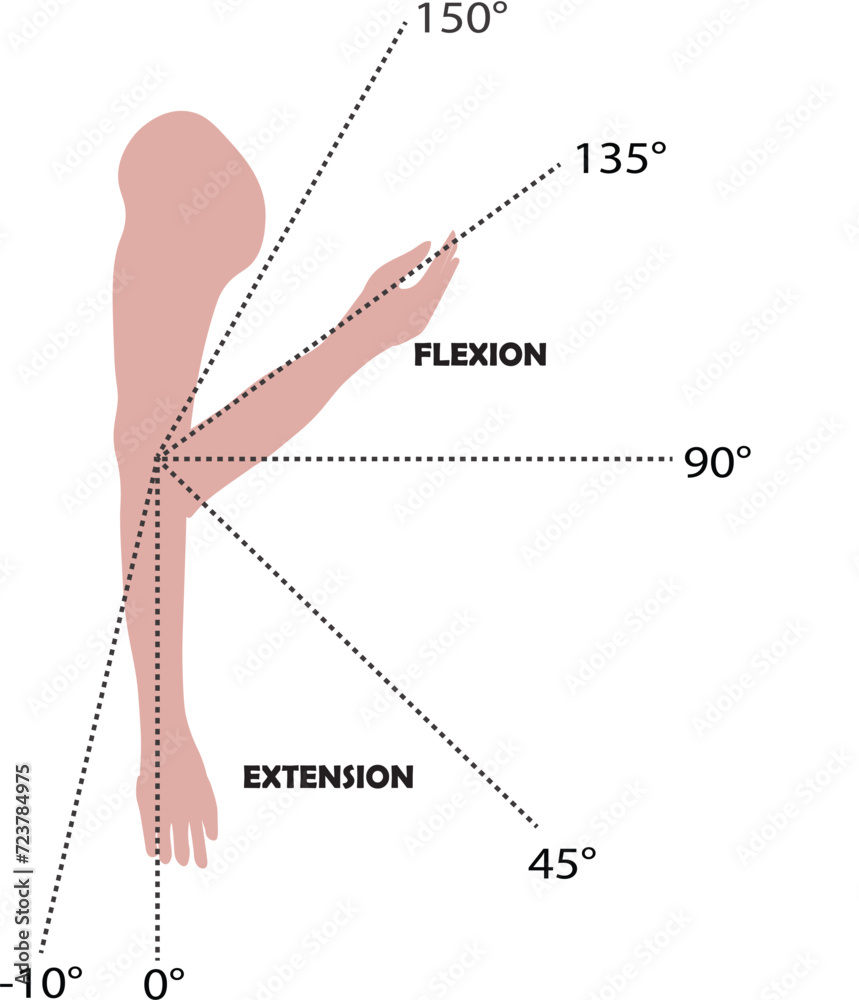 Elbow Joint Range of Motion – Flexion and Extension Anatomy Diagram for ...
