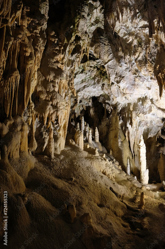 Postojna Cave is a karst complex in Slovenia, it is the largest and ...