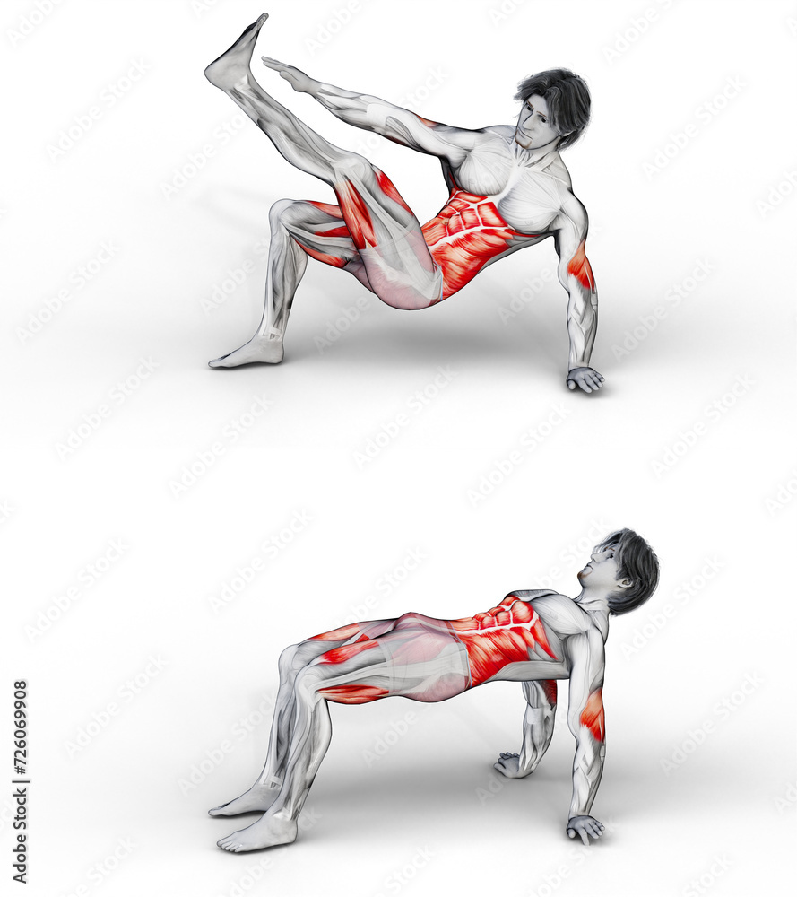 907 Twisting Crab Reach. 3D Anatomy of fitness and bodybuilding. An ...