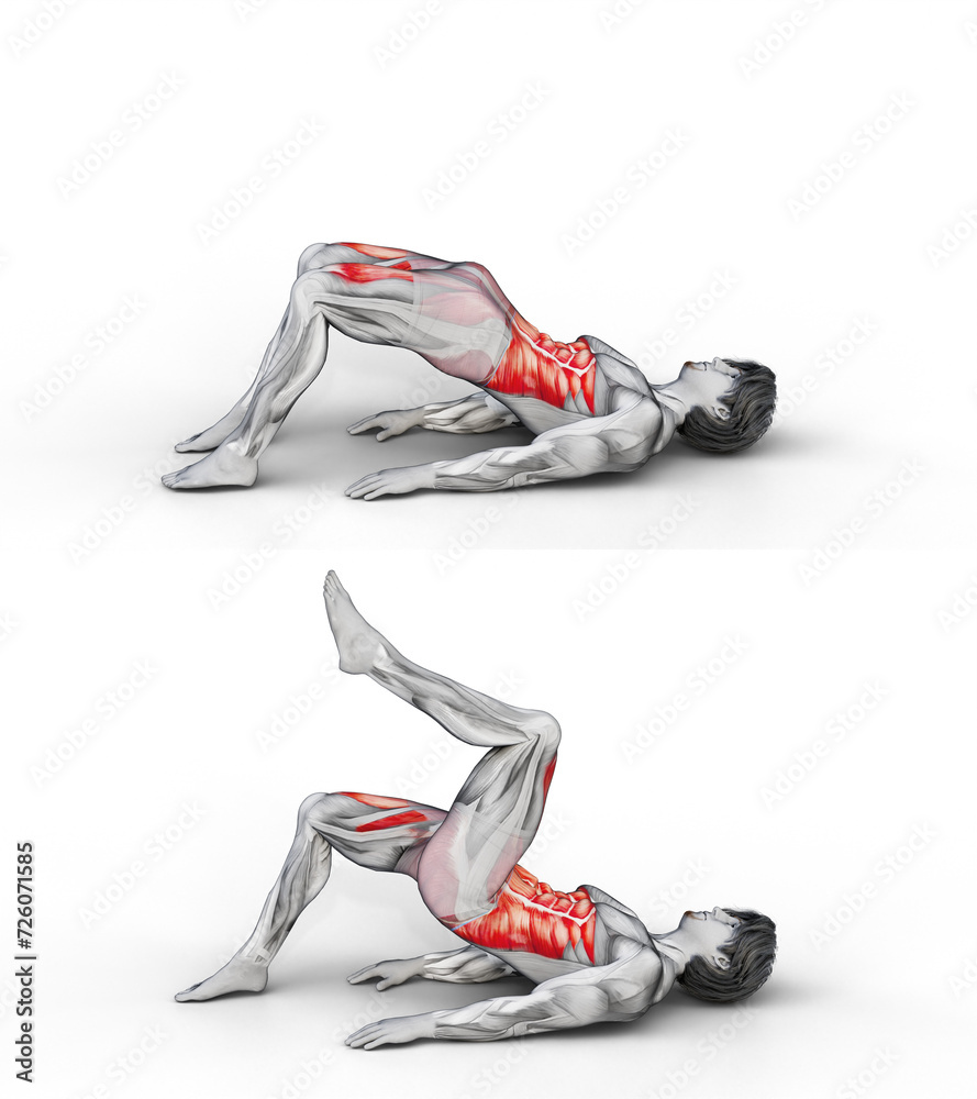 870 March. 3D Anatomy of fitness and bodybuilding. An outstanding ...