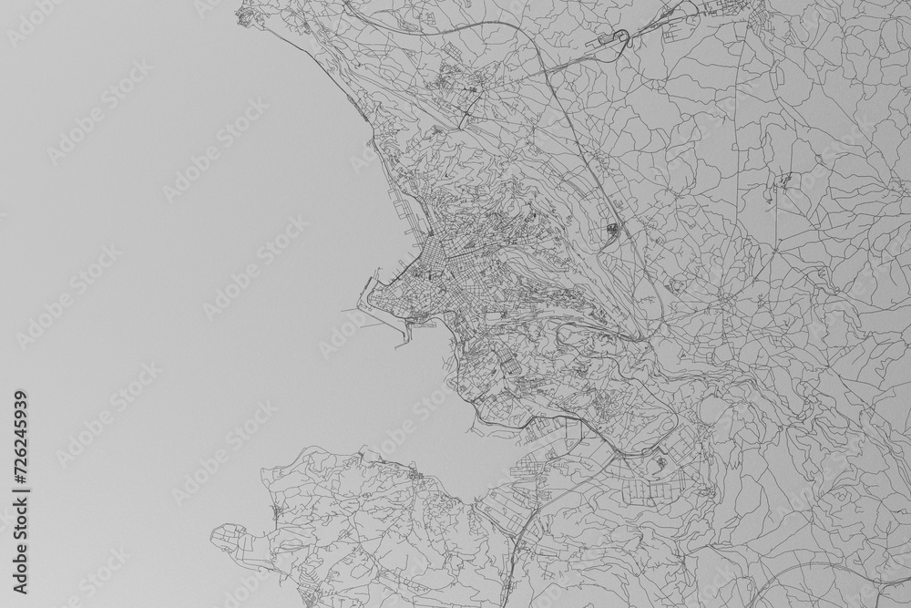 Map of the streets of Trieste (Italy) made with black lines on grey ...