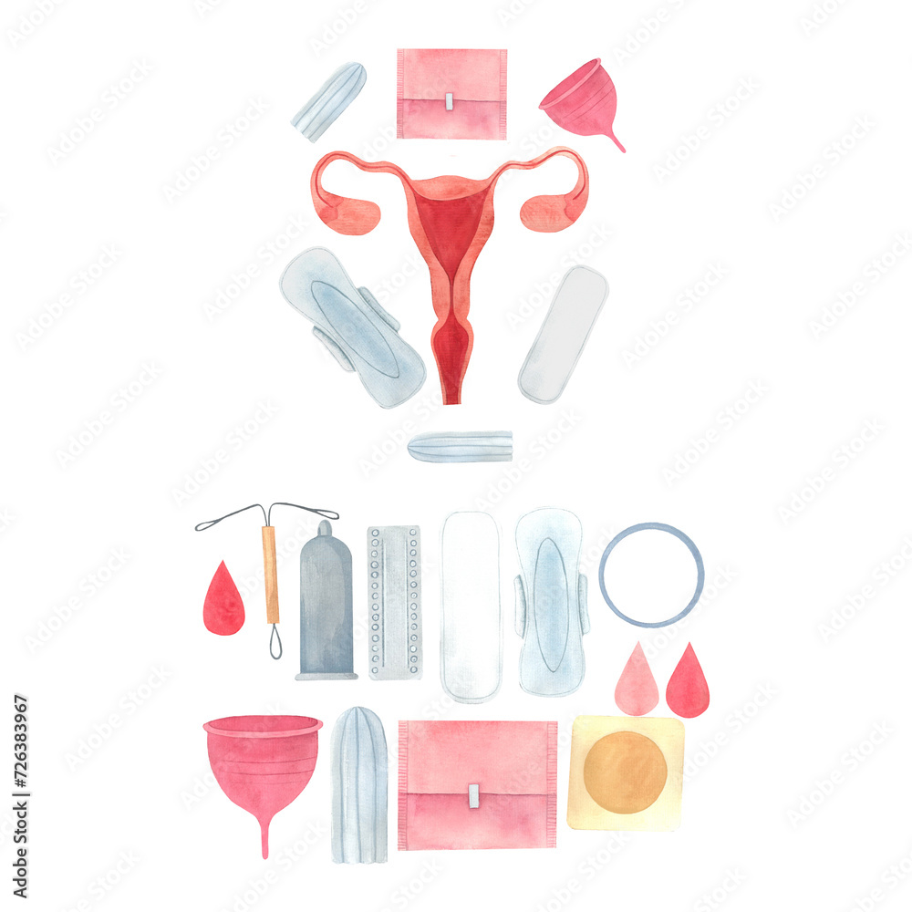set illustration with a uterus and feminine hygiene products drawn in ...