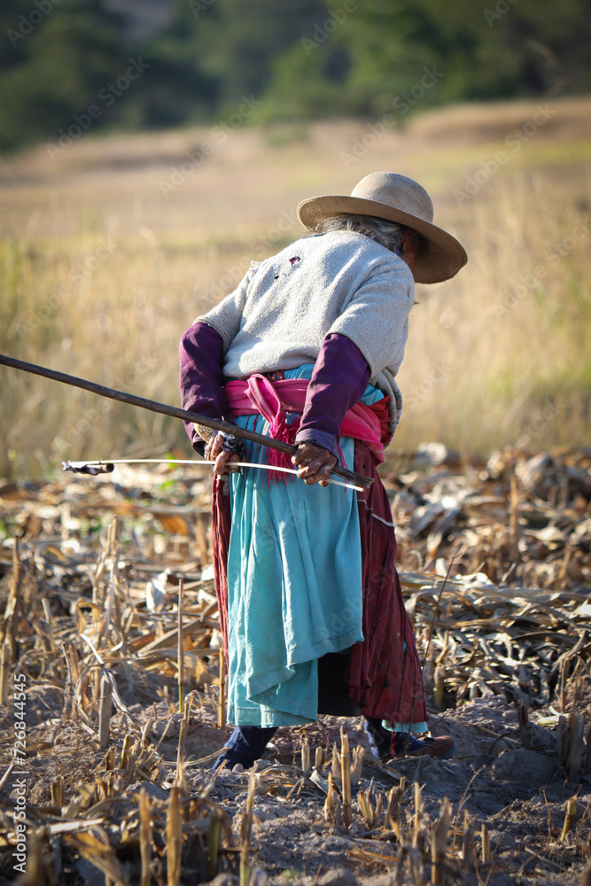 Señora mexicana campesina con sombrero y vestimenta típica caminando en ...