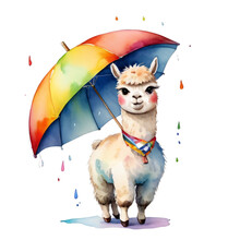 St. Patrick's Day Llama Free Stock Photo - Public Domain Pictures