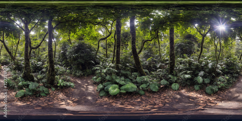 tree in the forest Full 360 degrees seamless spherical panorama HDRI ...