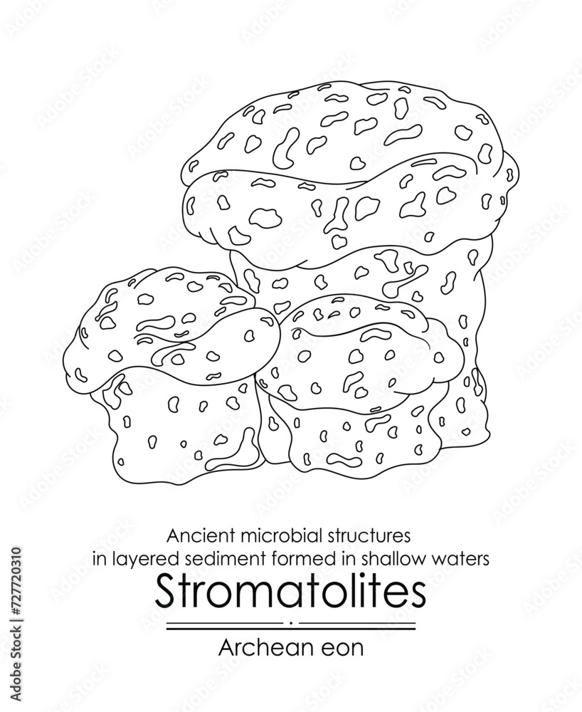 Vektor Stromatolite formations from the Archean Eon are ancient ...