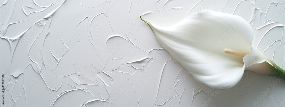 Capturing the purity of white lily petals in a top view, radiating ...