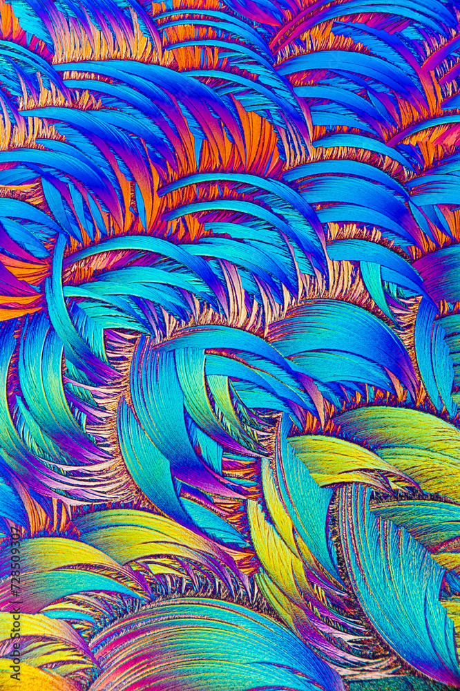 Microscopic image reveals the vivid feather-like patterns of salicylic ...