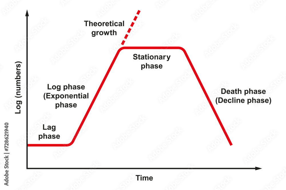 Bacterial growth curve. Graph, showing numbers of bacteria versus time ...