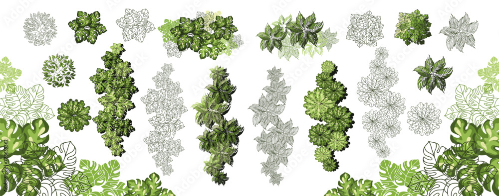 Tree for architectural floor plans. Entourage design. Various trees ...