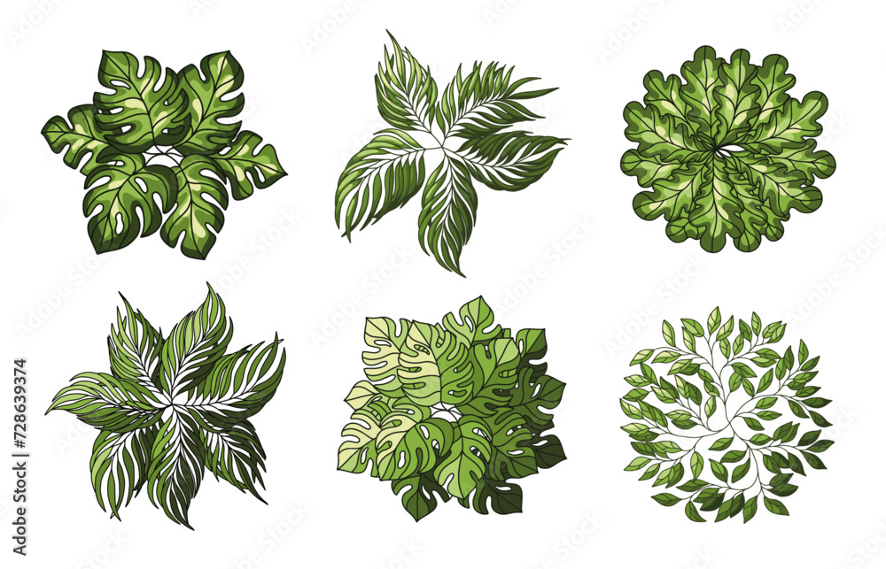 Tree for architectural floor plans. Entourage design. Various trees ...
