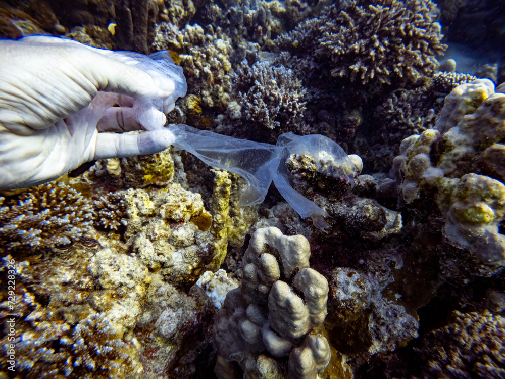 POV collecting plastic trash, bag, particle, in the ecean while Scuba ...
