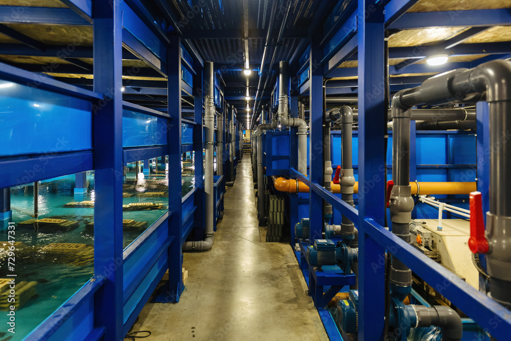 Water basins with automatic feeding and water recirculation for growing ...