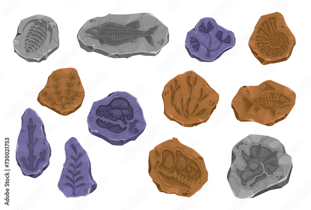 Ancient dinosaur fossil, fish skeleton and plant imprint in stone ...
