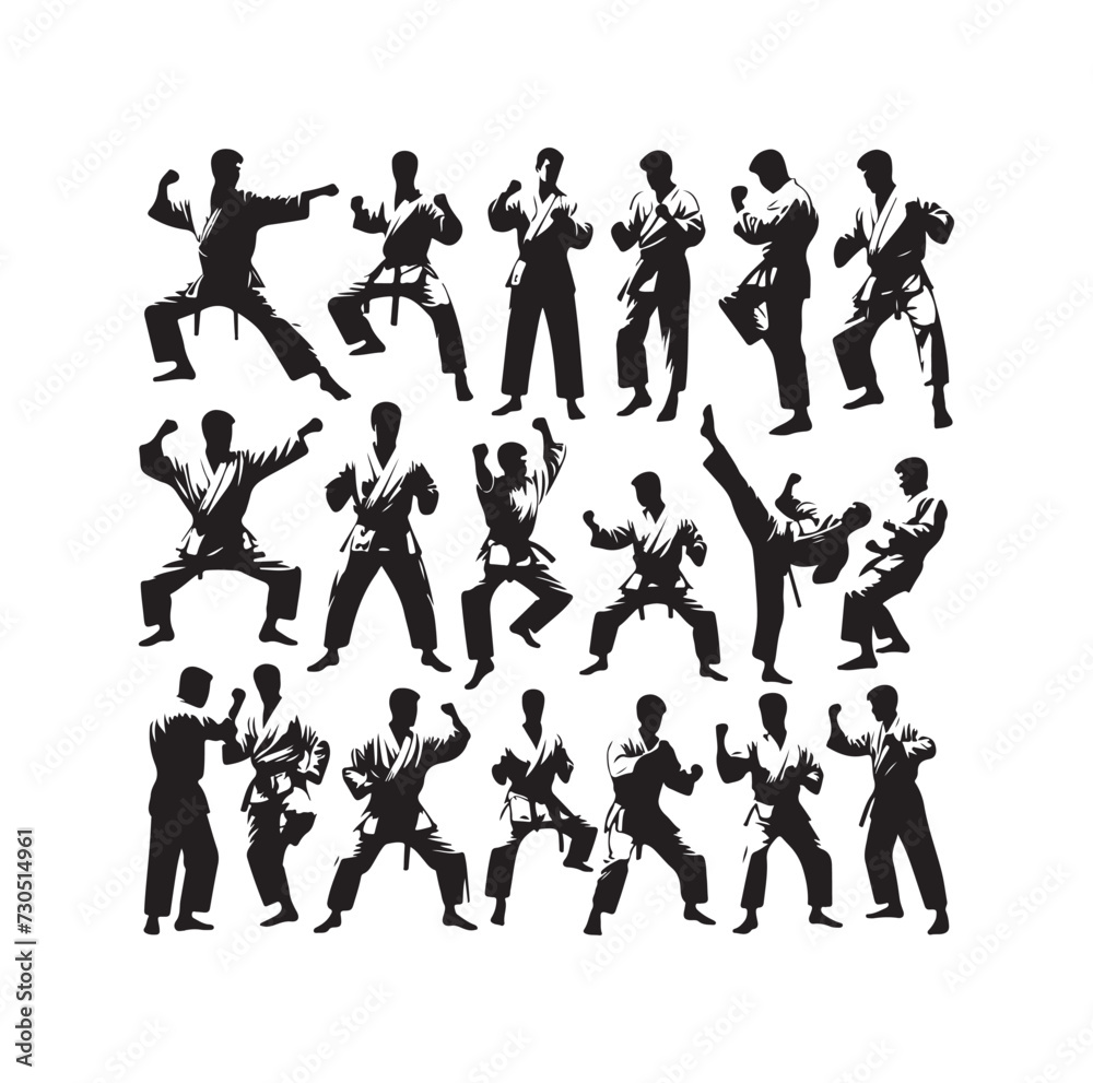martial art Vector or karate silhouettes vector illustration Japan and ...