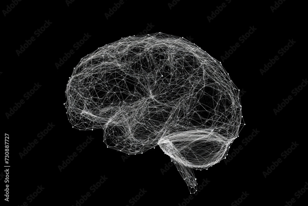 X-ray scan of human brain on white background with black background ...