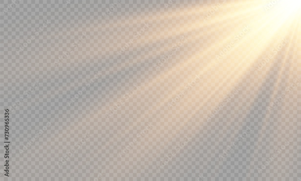 Light Vector with Sun Glare. Sun, Sunrays, and Glare in PNG Format ...
