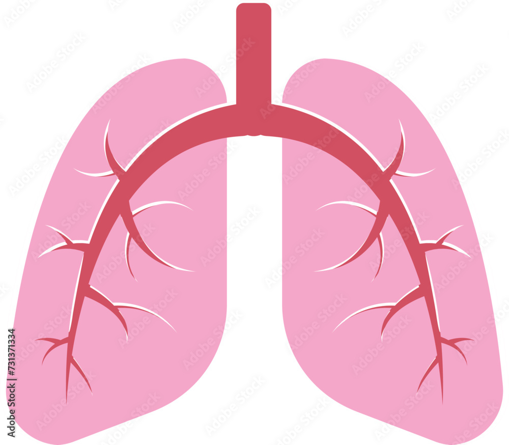 Simple human lungs graphic pink color isolated white background ...