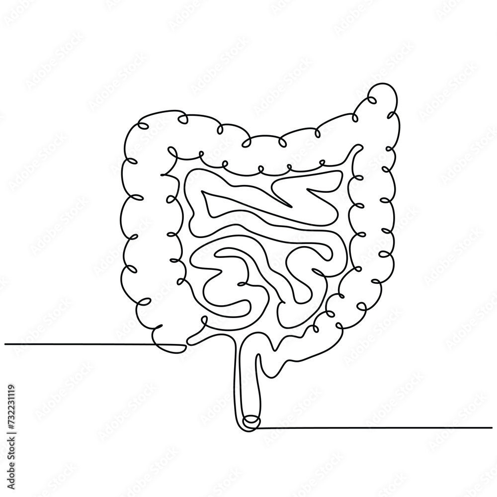Intestines vector illustration. Human body organ. Continuous one line ...