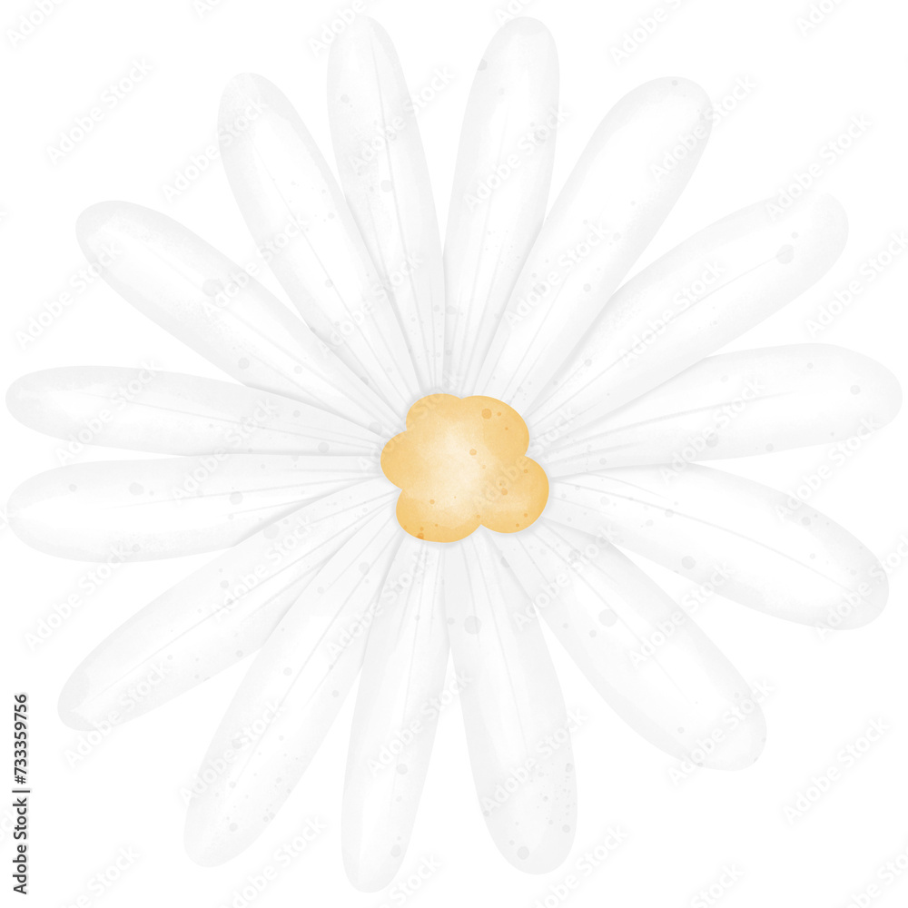 White flowers Clipart, Daisy flowers Clipart. Download high resolution ...