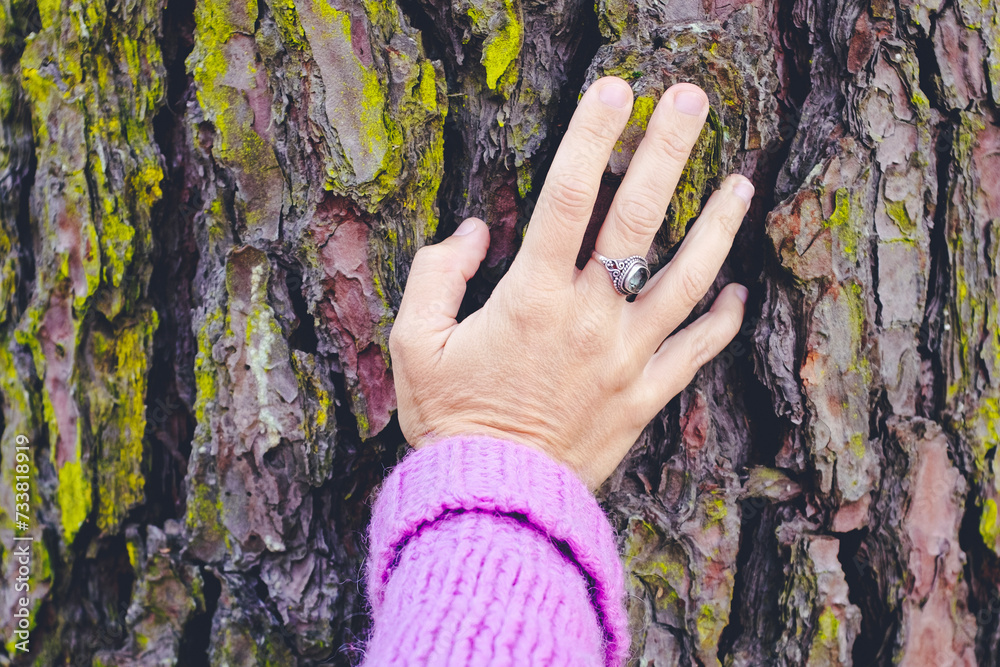 poc of woman hand touching and caressing trunk tree in nature and ...