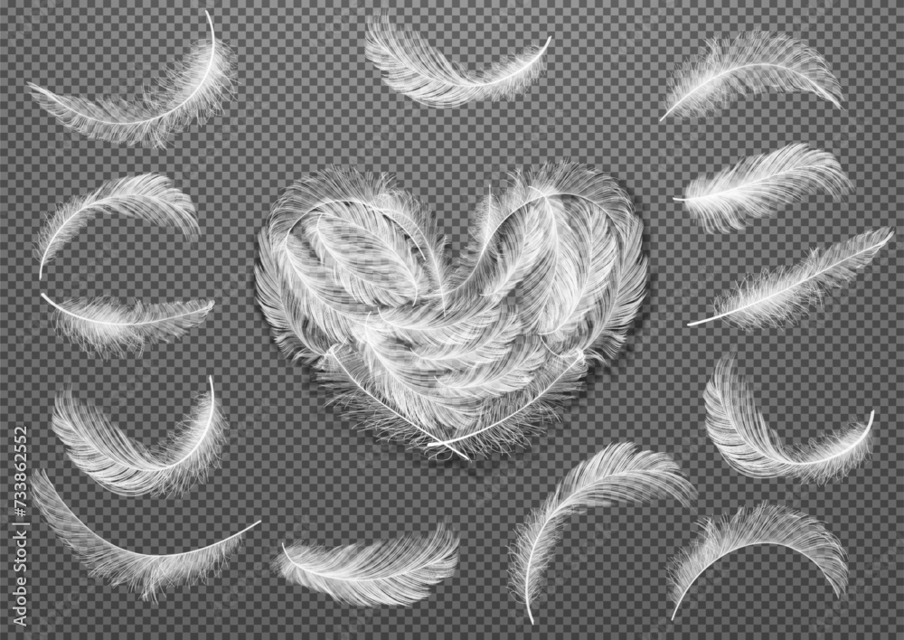 Big Set of White Realistic Different Fluffy Twirled Falling Feathers ...