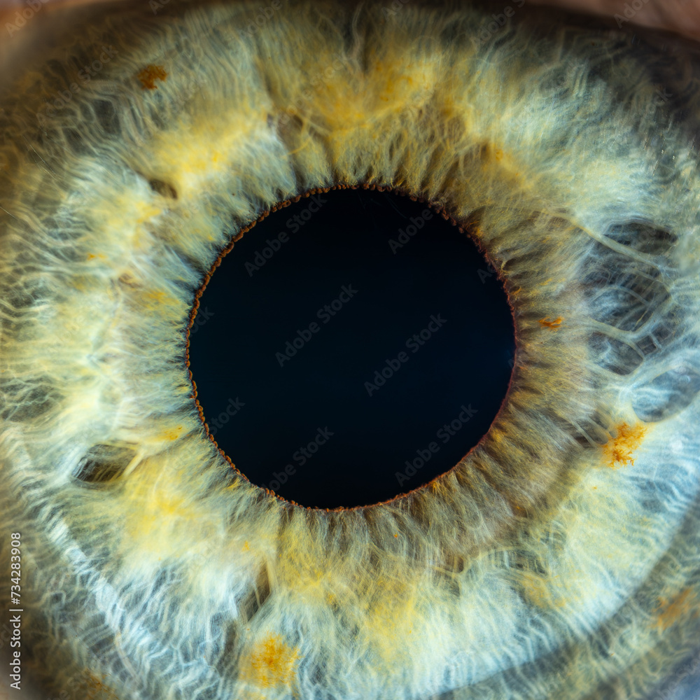 Super magnification of the female green-blue coloured eye with yellow ...