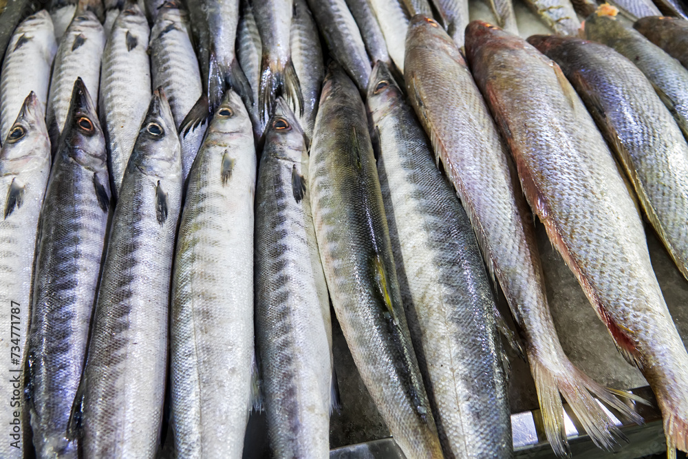 Bandar Abbas, Iran. Fish market. The fish of the Persian Gulf and the ...