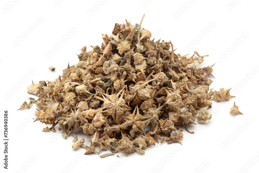Close-up of Dry Organic gokhuru (Tribulus terrestris) fruits, isolated ...