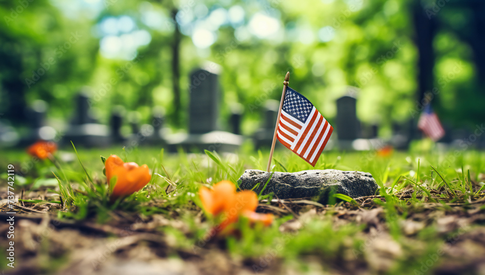 American flags marking graves in a national cemetery, symbolizing ...