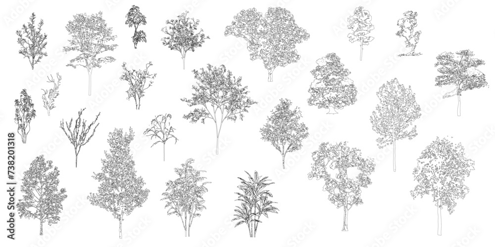 Vektor Minimal style cad tree line drawing, Side view, set of graphics ...