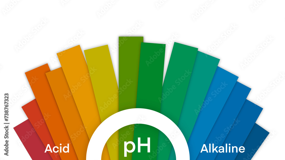 Ph scale diagram, Ph scale vector graphic, Acid to base, pH scale ...
