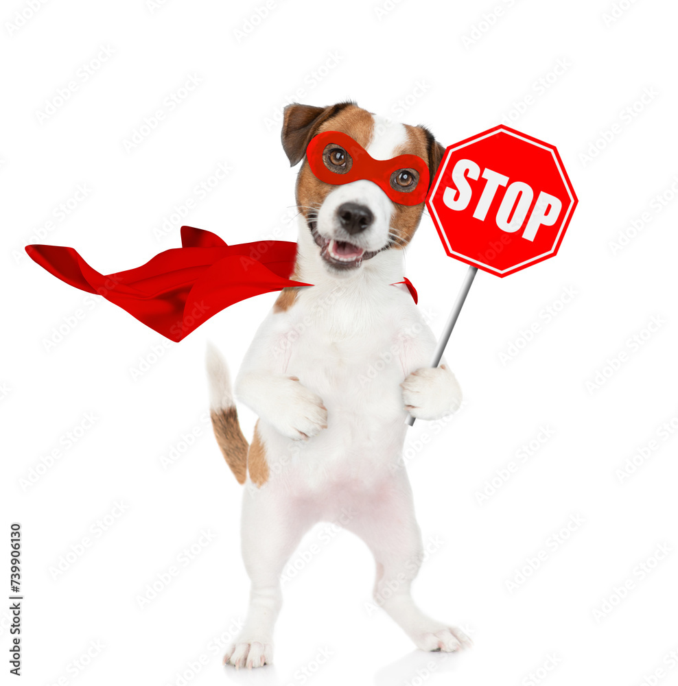 Funny jack russell terrier puppy wearing superhero costume showing stop ...