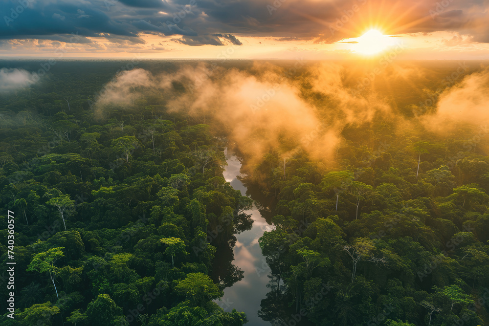 Amazon Aerial Symphony: A Mesmerizing Sunset Over the Vast Amazon ...