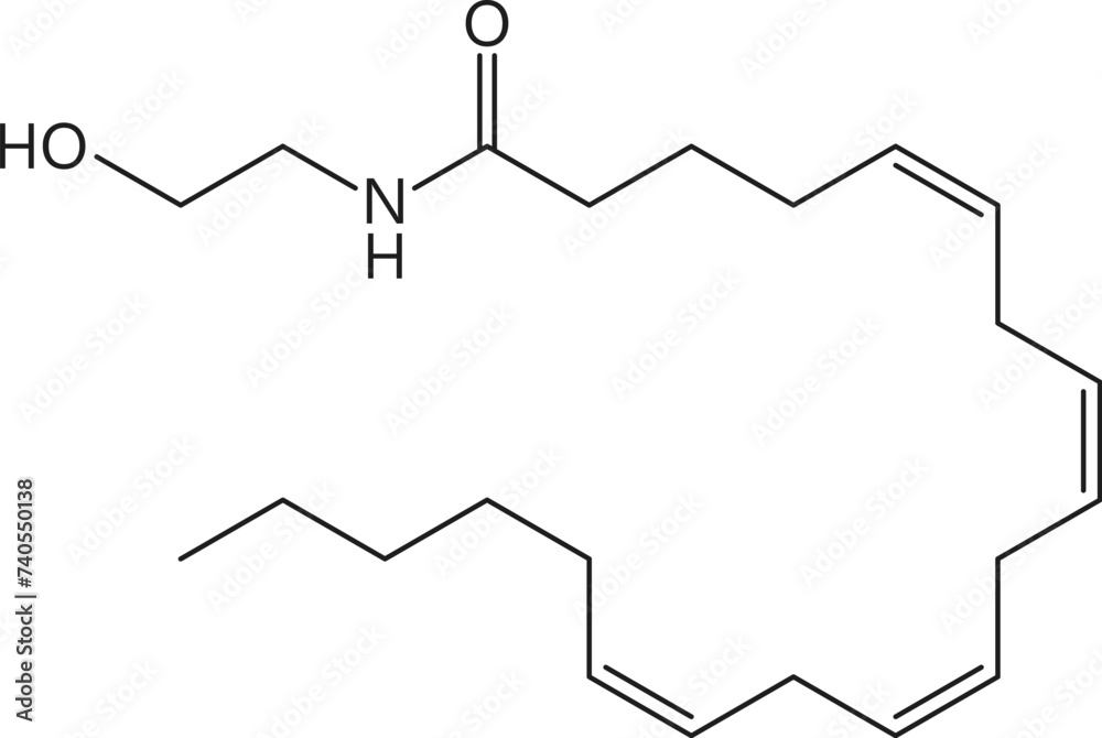 Neurotransmitter, Anandamide ANA chemical formula and molecule, vector ...