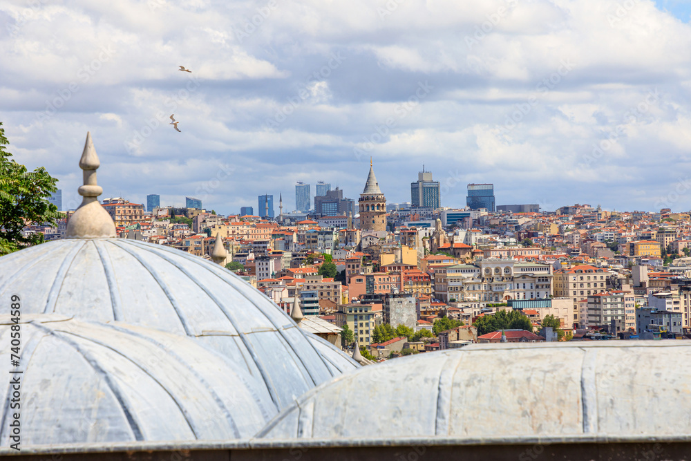 Istanbul skyline from the Suleymaniye Mosque of the city in Turkey ...