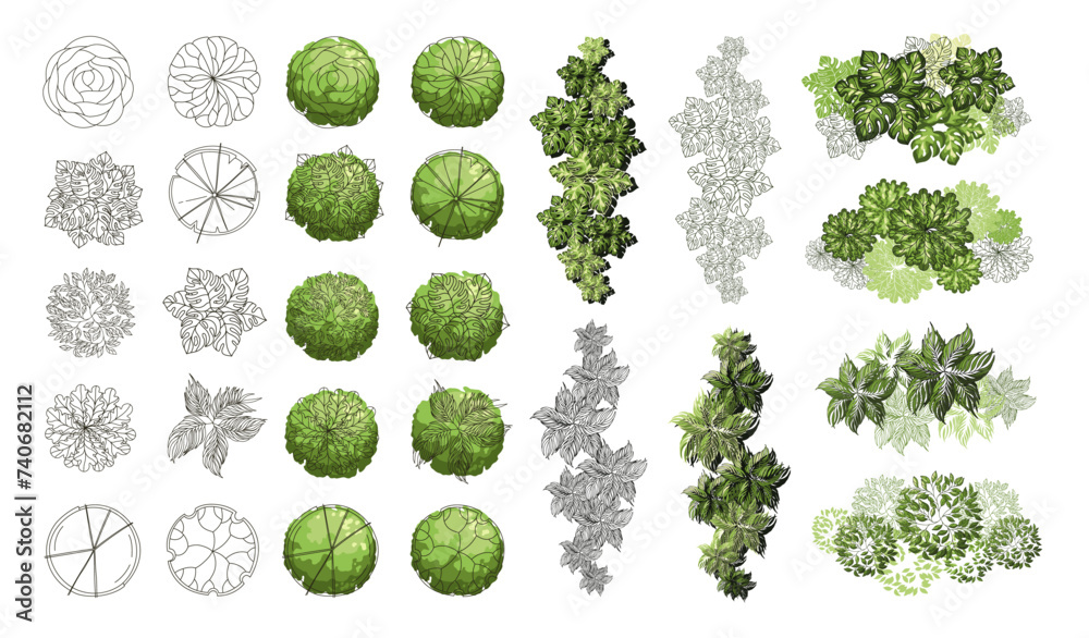 Tree for architectural floor plans. Entourage design. Various trees, bushes, and shrubs, top ...
