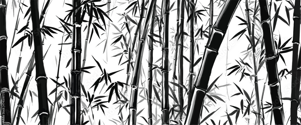 Vector hand-drawn bamboo illustration, black and white background ...