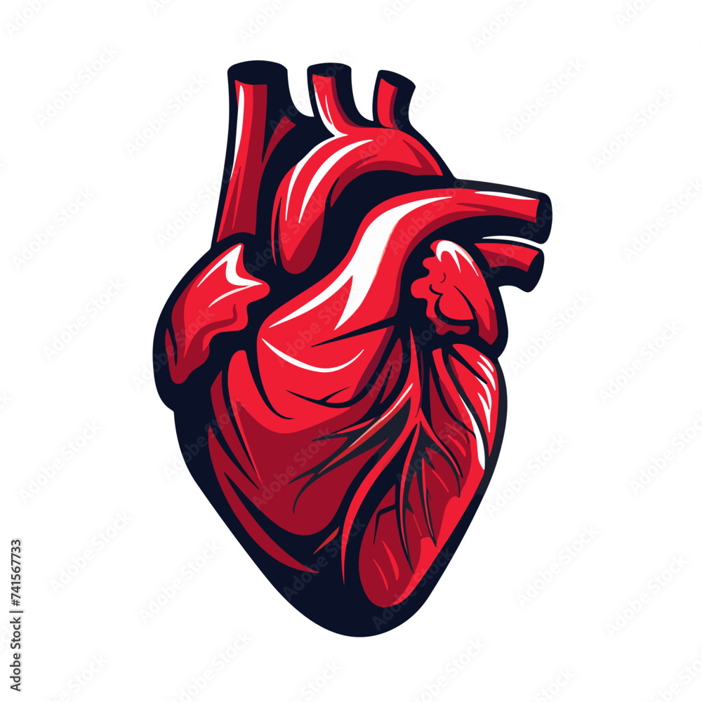 Vector illustration of human heart in cartoon style isolated on white ...