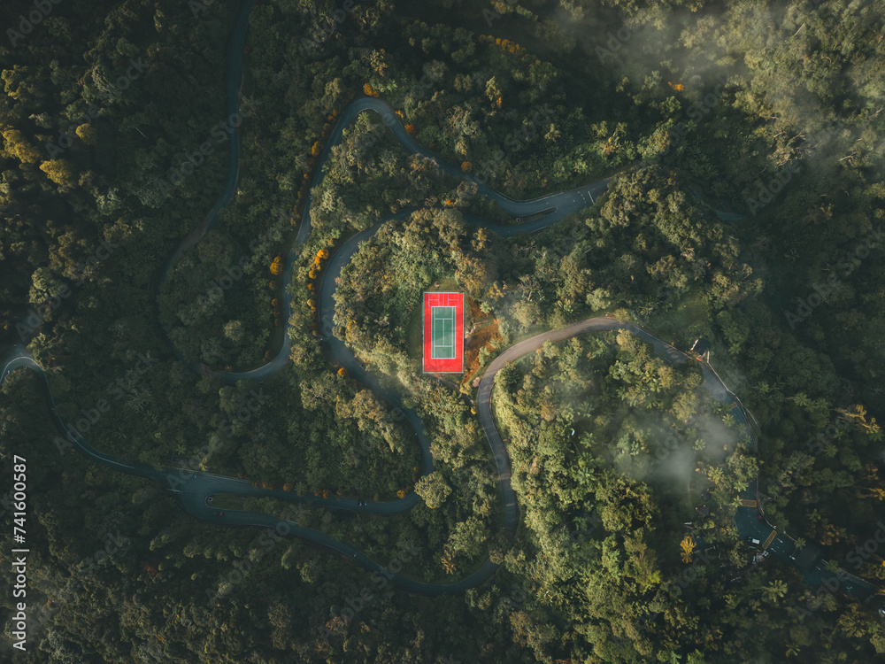 Serene forest surrounds a vibrant tennis court nestled amidst lush ...
