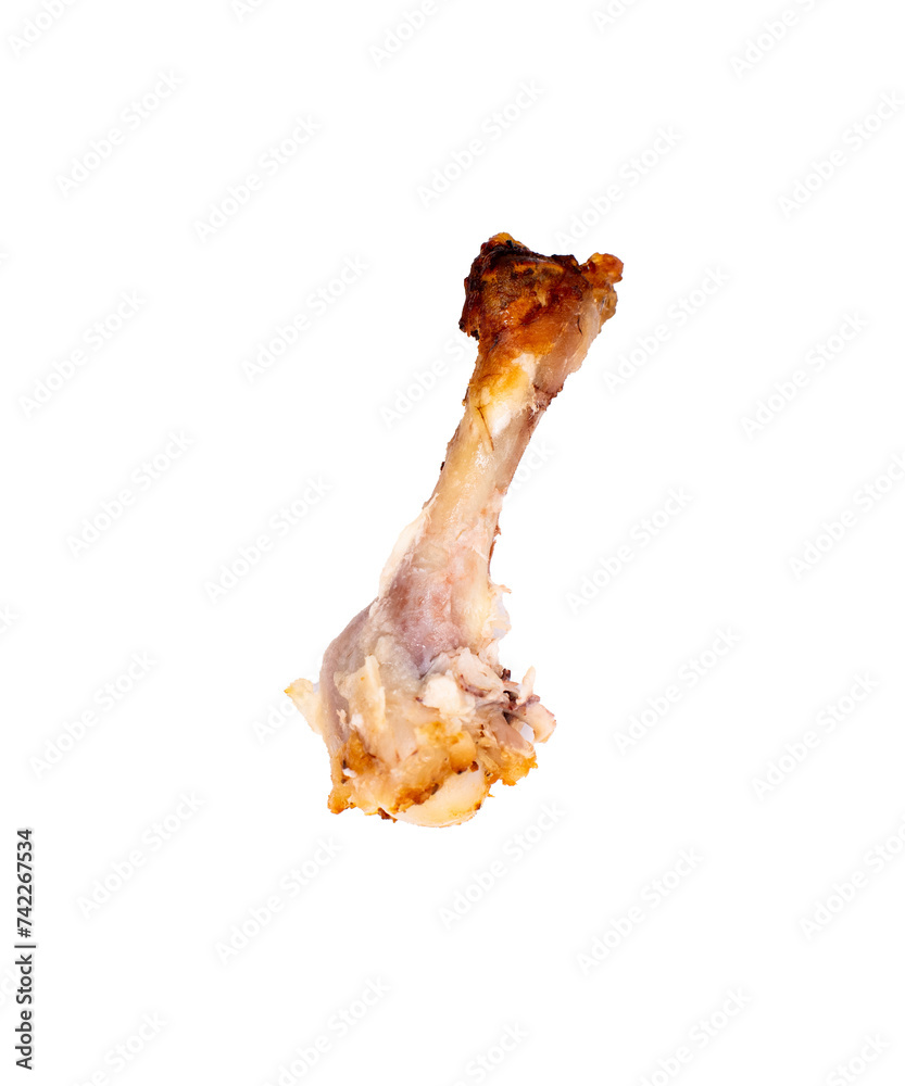 Chicken bone on a transparent background PNG Stock Photo | Adobe Stock